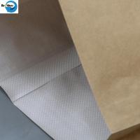 China Custom Logo 50kg 25kg Capacity Strong Kraft Paper Laminated PP Woven Bag with Inner PE Plastic Liner for sale