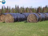 China White PP Woven Hay Bale Stack Covers 160gsm , Woven Polypropylene Hay Bale Fabric for sale