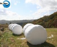 China Top Quality 750mm*1500m*25um Green Silage Wrap Foil Silage Wrap Film for sale