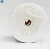 China Strongest polypropylene twine for your most demanding conditions high performance pp twine string for sale