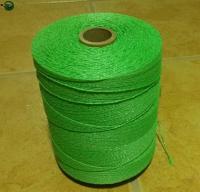 China High Quality White/Blue/Colorious PP/PE Tensile Strength Strapping Rope for Loading and Unloading for sale