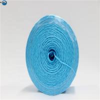 China high quality heavy duty pp baler twine agriculture for any baler for sale