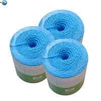 China Strongest polypropylene twine for your most demanding conditions high performance pp twine string for sale
