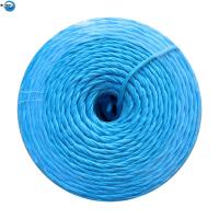 China Factory Wholesale Polypropylene Rope Manufacturers PP Twine For Baling for sale