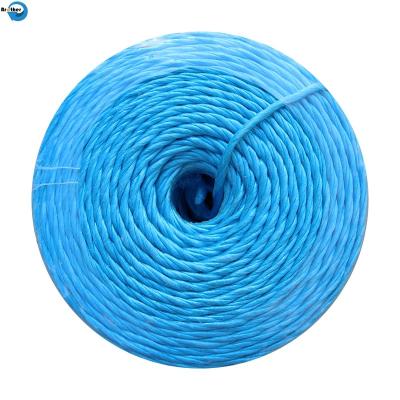 China Factory Wholesale Polypropylene Rope Manufacturers PP Twine For Baling for sale