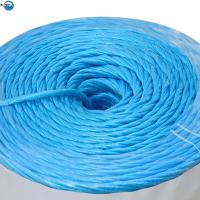 China colorful uv treated pp raffia twisted baler twine for sale
