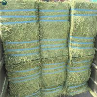 China Agriculture PP/ PE Packaging Baler Twine for sale