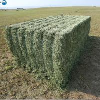 China uv-treated hay pp baler twine for agriculture packing for sale