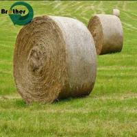 China Direct Selling Multi-Colored HDPE High Density Plastic Strapping Net Packaging for Grassland for sale