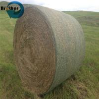 China Direct Selling Multi-Colored HDPE High Density Plastic Strapping Net Packaging for Grassland for sale