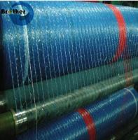 China Wholesale Price Multi-Colored HDPE Puncture Resistance Hdpe Net for Rice Field and Farm for sale