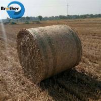 China Factory Direct Sales Multi-Colored HDPE High Density Polyester Mesh for Grassland for sale