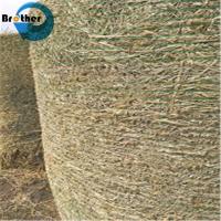 China Good Price Multi-Colored HDPE Tear Resistance Round Bale Net for Pasture for sale