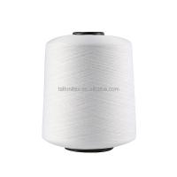China 500g 150D/48F Melange Polyester Yarn Low Elastic Edge Protection for Clothing Lock for Weaving Black White Silk Code Edge Line for sale