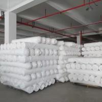 China Jiaxing Factory Supplier 100% Polyester Greige Knitted Fabric Plain Style Textile Raw Material for Lining and Garments for sale