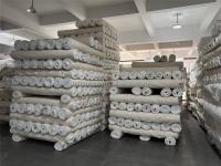China Jiaxing Factory Supplier 100% Polyester Greige Knitted Fabric Plain Style Textile Raw Material for Lining and Garments for sale