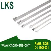 China 4.6*200mm Stainless Steel Cable Tie with High Tensile Strength Non-Flammable and Excellent Corrosion Resistance for Industrial Use for sale