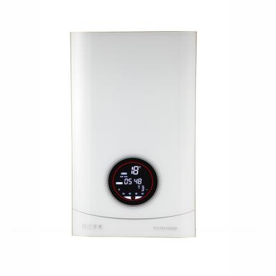 China China Professional Supplier Wall Mounted Gas Water Heater Boiler for sale
