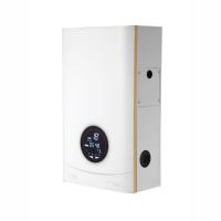 China China Professional Supplier Wall Mounted Gas Water Heater Boiler for sale