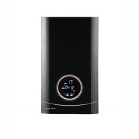 China China Professional Supplier Wall Mounted Gas Water Heater Boiler for sale