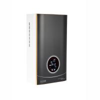 China China Professional Supplier Wall Mounted Gas Water Heater Boiler for sale