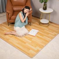 China High Quality Pet Heating Pad for Dog Cat Floor Graphene Heating Mat for sale