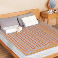 China Smart Water Circulation Electric Heating Blanket Electric Blanket for Bed Cozy Comfort 2.000kg Package Gross Weight for sale
