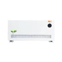 China 50000 Pieces/Year Dual-Sided Carbon Crystal Heater for Indoor Temperature Management for sale