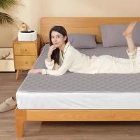 China Winter Body Warmer Electric Blanket Thermostat Security Thicker Heated Blanket Electric Mattress for sale