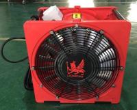 China LION KING Electric Smoke Ejector Fans - 16