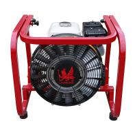 China LION KING Gasoline PPV Blower Fan 16