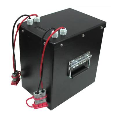 China 24V 120Ah Lithium Iron Phosphate Battery for Low Speed Golf Cart and Electric Vehicle for sale