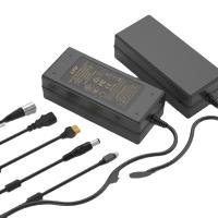 China 48V LiFePO4 Lithium Battery Charger 5A for Golf Trolley Solar Energy Long Cycle Life for sale