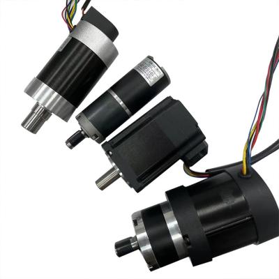 China High Torque Low Price 3 phase BLDC Motor Manufacturer Customizable Performance 12v 24v 36v 48v 60v 230v 310v for sale