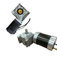 China High Torque Low Price 3 phase BLDC Motor Manufacturer Customizable Performance 12v 24v 36v 48v 60v 230v 310v for sale