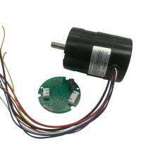 China Customizable Good Quality Low Price Brushed Brushless Electrical DC Motor from Chinese Manufacturer Factory Supplier for sale