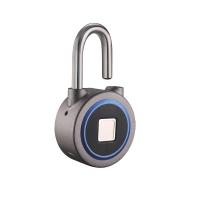 China Smart Kitchen Glass Cabinet Electric Padlock with Alarm Memory Card Storage Options for sale
