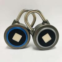 China Smart Kitchen Glass Cabinet Electric Padlock with Alarm Memory Card Storage Options for sale