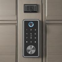 China Silvery Zinc Alloy Fingerprint Door Lock for Home Office WiFi Tuya Network Compatible for sale
