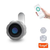 China Smart WiFi Tuya Lock Fingerprint Reader Keyless Glass Cabinet Set Cloud Storage Option for sale