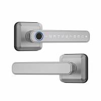 China WiFi Connected Bluetooth Entry Lock Handle for Modern Simplicity Style Door Lock for sale