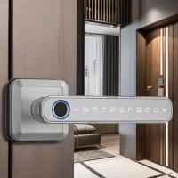 China WiFi Connected Bluetooth Entry Lock Handle for Modern Simplicity Style Door Lock for sale