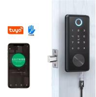 China Zinc Alloy Black Blue Tooth Smart Lock for WIFI Network Tuya APP Memory Card for sale
