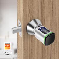 China Brass Cylinder IC Card Fingerprint Key Unlock Electric Magnetic Rim Lock for Home Security for sale