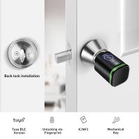 China Brass Cylinder IC Card Fingerprint Key Unlock Electric Magnetic Rim Lock for Home Security for sale