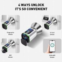 China Brass Cylinder IC Card Fingerprint Key Unlock Electric Magnetic Rim Lock for Home Security for sale