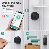 China Easy Operation Bluetooth Keypad Smart Lock for Aluminium Wood Door Remote Unlock for sale