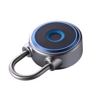 China Smart Lock Electromagnetic Lock for High Safe Door Security in Home/Office/School for sale