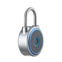 China Smart Lock Electromagnetic Lock for High Safe Door Security in Home/Office/School for sale