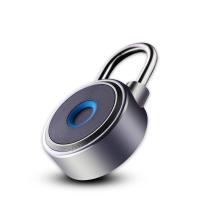 China Smart Lock Electromagnetic Lock for High Safe Door Security in Home/Office/School for sale